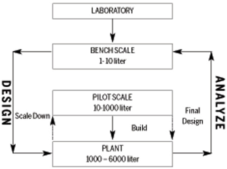 Scale down — scale up of batch—semi batch ops using VisiMix Software ...