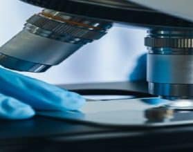 Eli Lilly launches Copellor in India to treat moderate-to-severe plaque ...