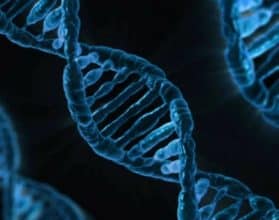 Queensland delegation concludes BioAsia 2026 mission to expand India ...